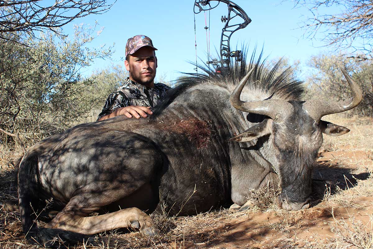 Gallery - Tusker Safaris